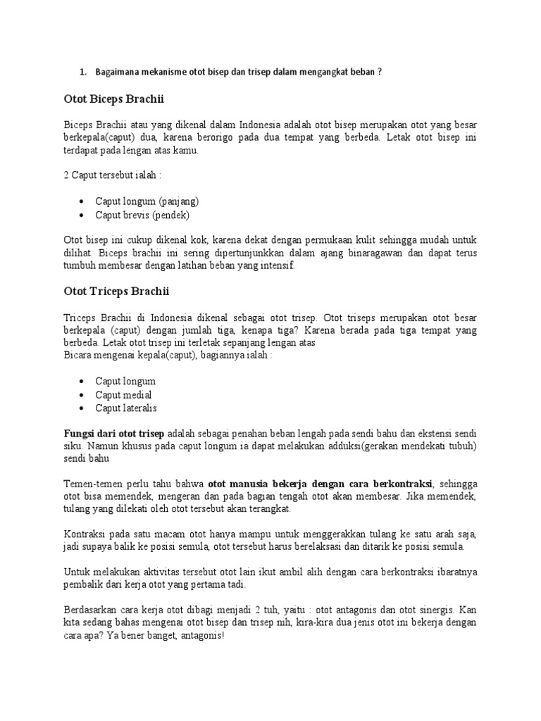 Bagaimana Mekanisme Otot Bisep Dan Trisep Dalam Mengangkat Beban | PDF