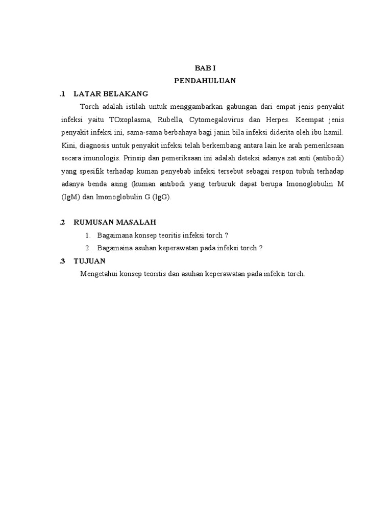 Askep Infeksi Torch (Mela Dan Laila) | PDF