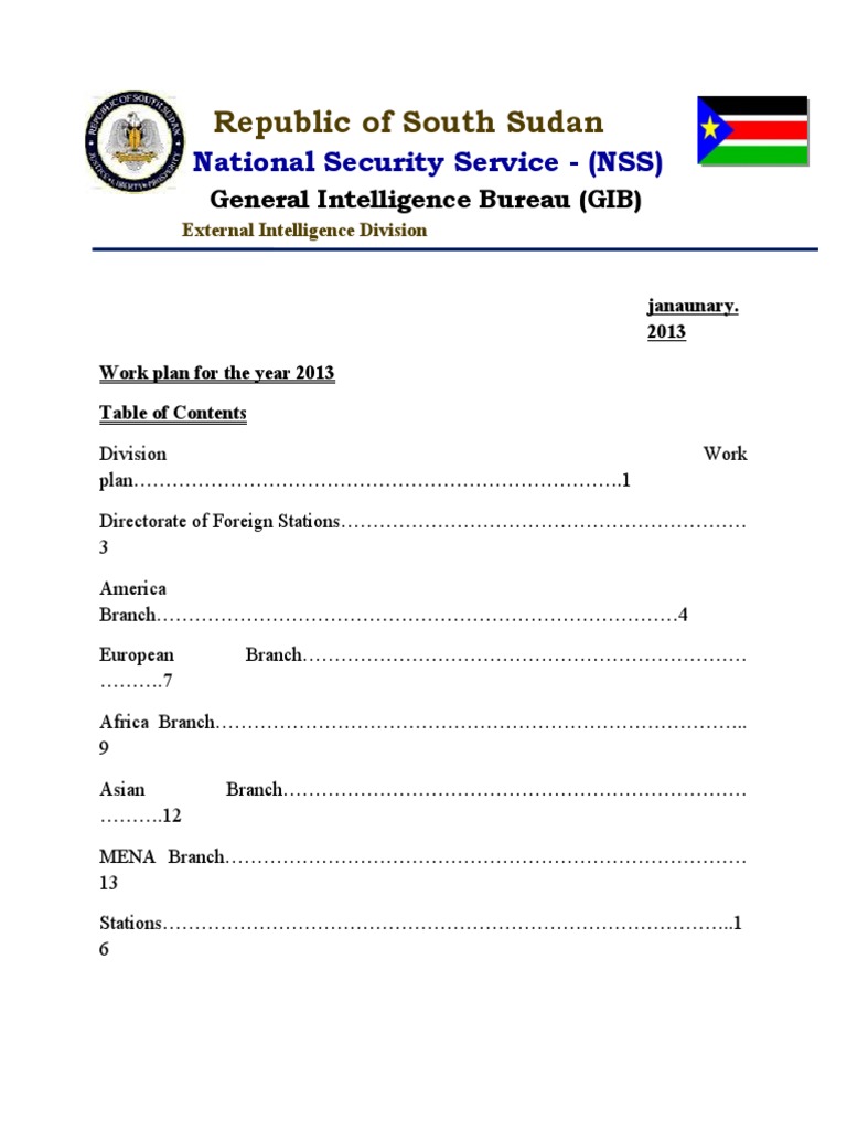 Division Work Plan | PDF | South Sudan | Sudan