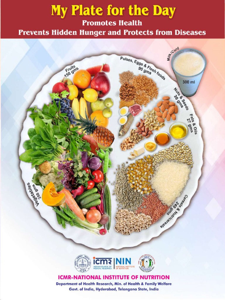 My Plate For The Day | PDF
