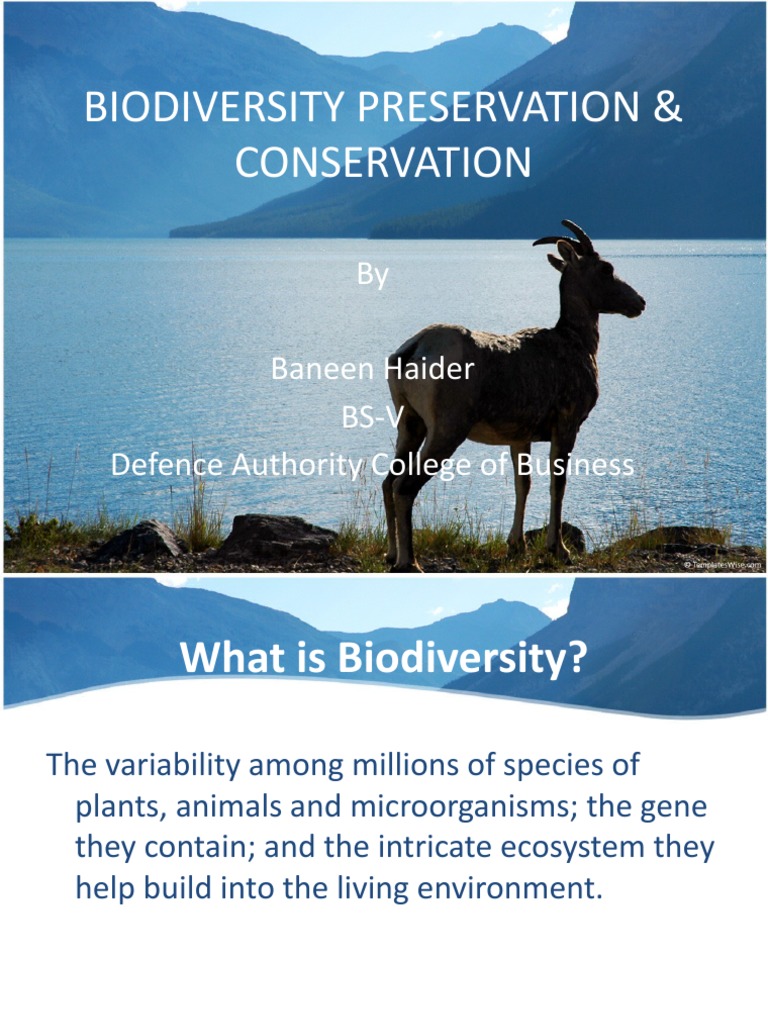 Biodiversity Preservation & Conservation | PDF | Nature | Biodiversity