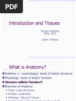 Anatomy and Physiology Unit 1 | PDF | Epithelium | Anatomical Terms Of Motion