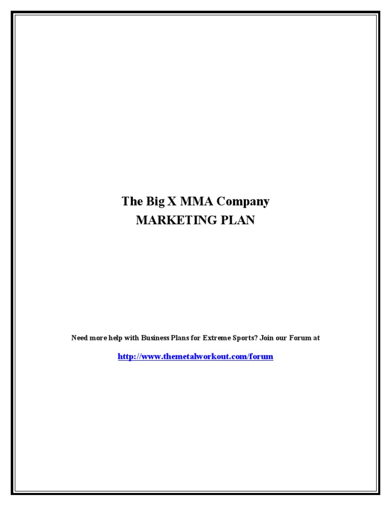 Big X MMA Marketing Strategy Overview | PDF | Mixed Martial Arts ...