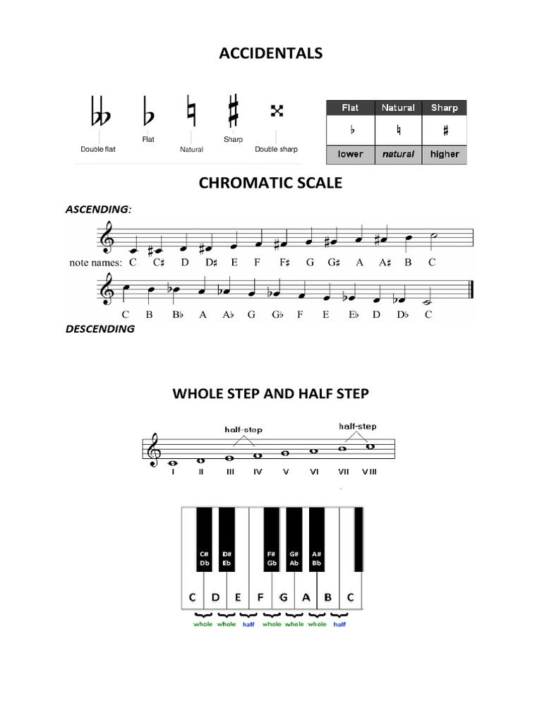 Accidentals, Chromatic Scale and Whole Tone - Half Tone Explained | PDF