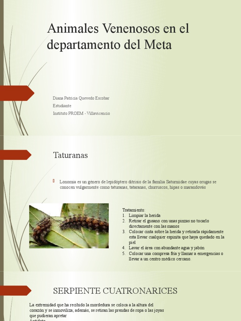 Animales Peligrosos en El Departamento Del Meta | PDF | Especialidades ...