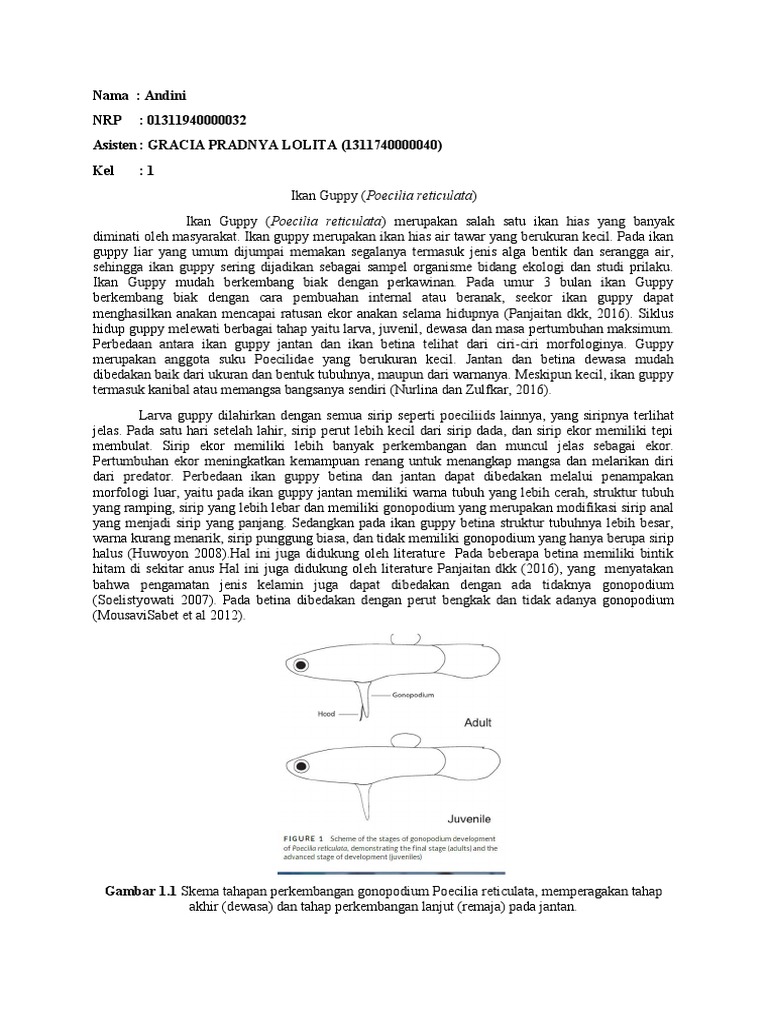 TP Perkembangan Telur Dan Embrio Ikan Gatul 2021 | PDF