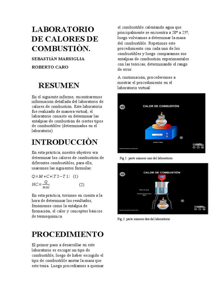 Calores de Combustión en Combustibles | PDF | Combustión | Termodinámica