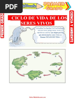 Ciclo de Vida de los Animales para Niños | PDF