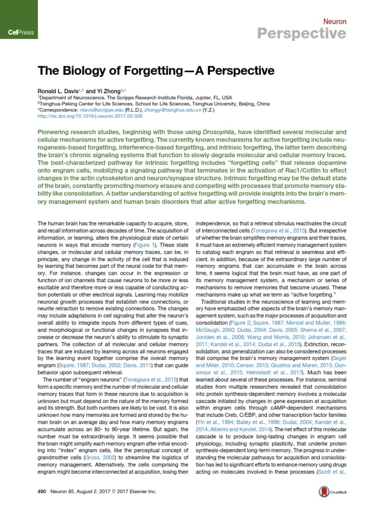 The Biology of Active Forgetting | PDF | Memory | Recall (Memory)