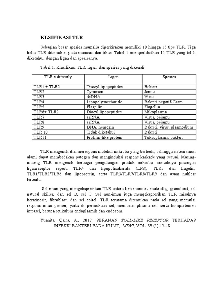 Materi Imunologi 8 Dan 12 | PDF