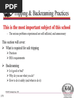 Cavings Poster-1 SLB | PDF | Borehole | Fracture