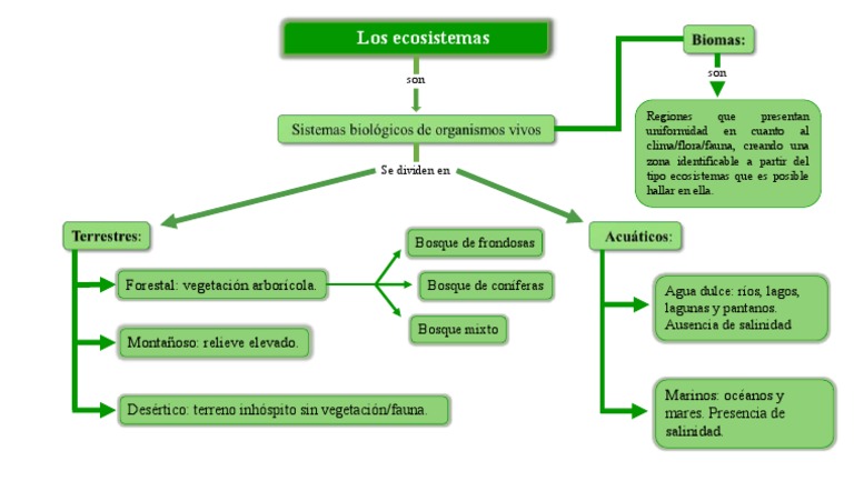 Diagramas De Ecosistemas