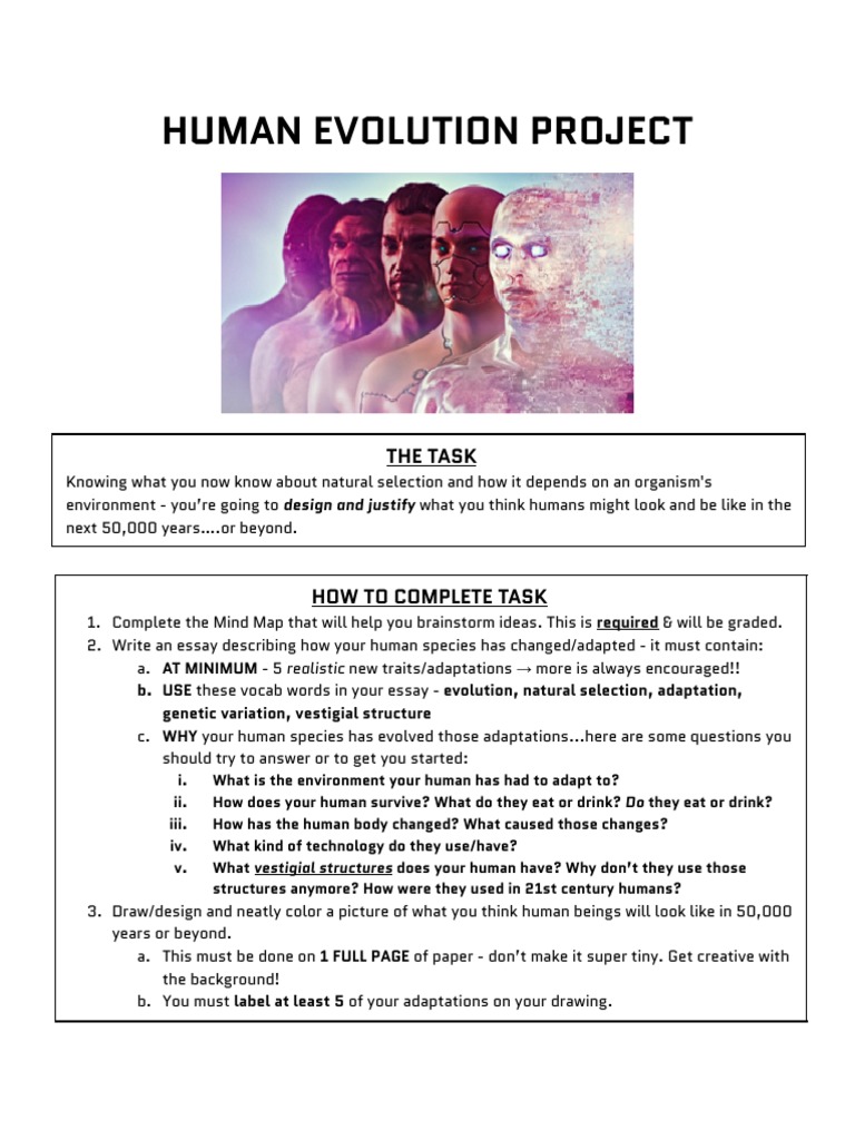 Human Evolution Project | PDF | Human | Adaptation