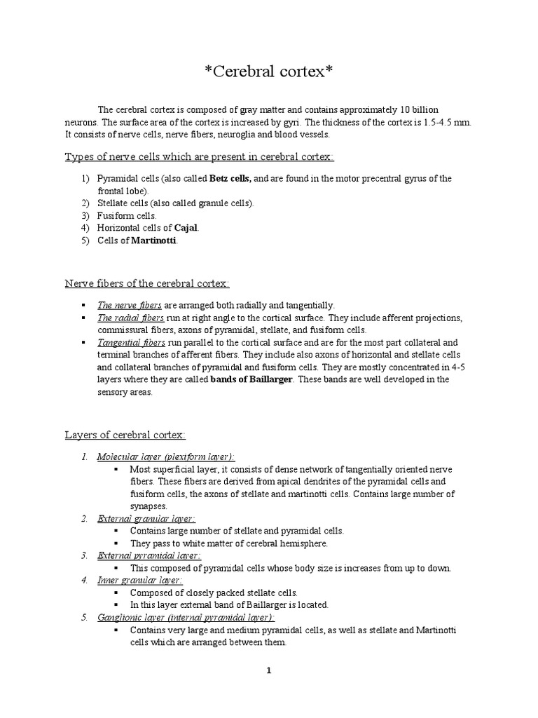 Cerebral Cortex : Types of Nerve Cells Which Are Present in Cerebral ...