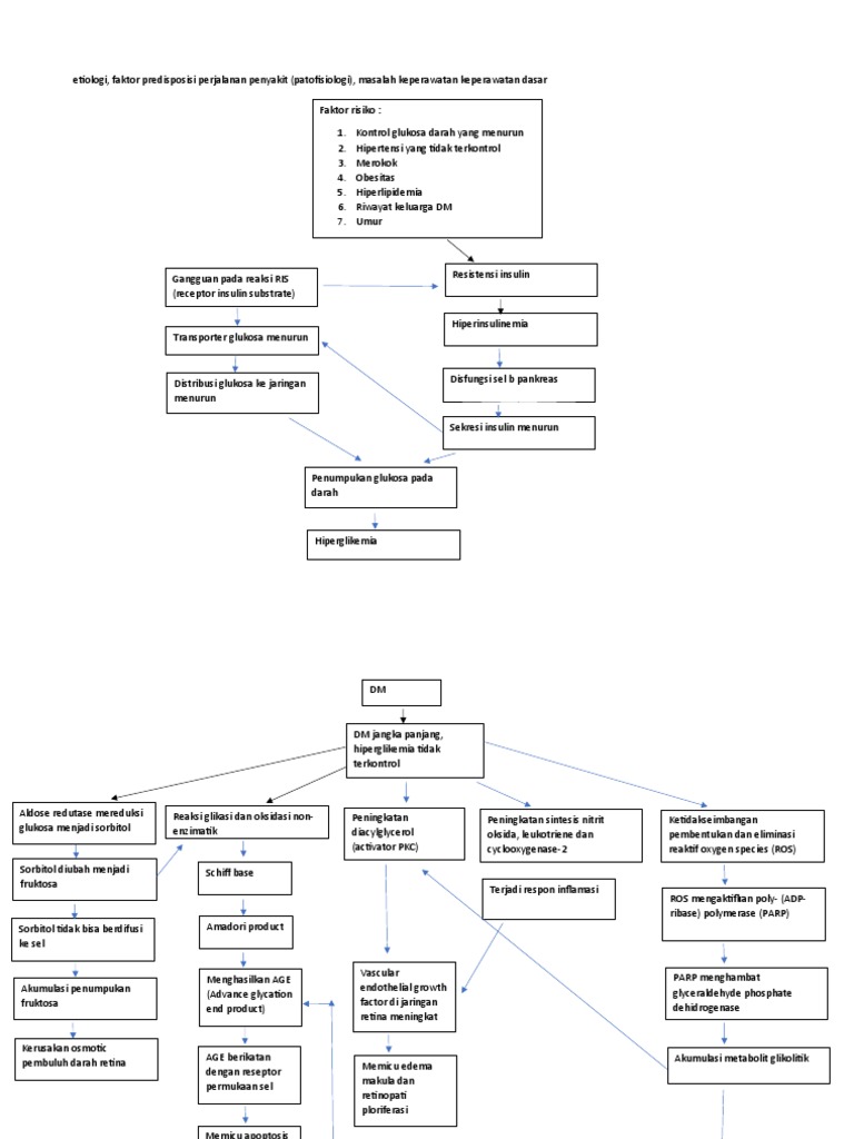 Woc DM Tipe 2 Dan Retinopati | PDF