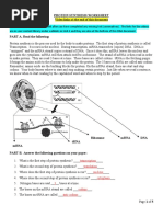 Answer Key - Genetic Packet | PDF | Dominance (Genetics) | Genotype