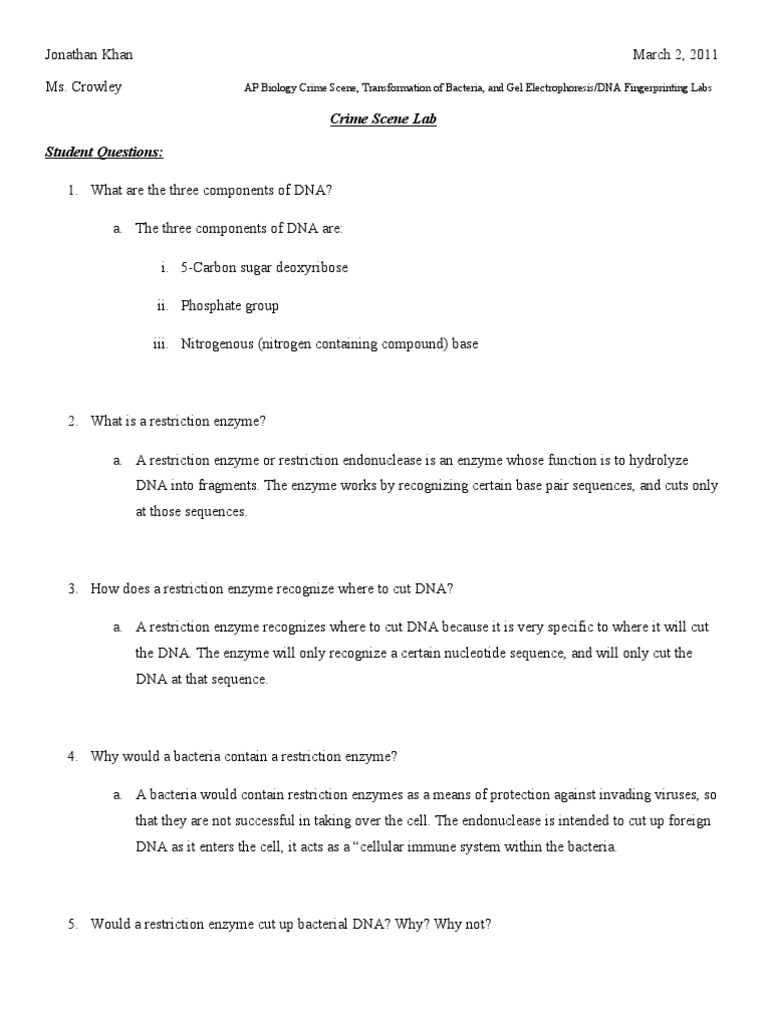 AP Biology Crime Scene Transformation of Bacteria and Gel ...