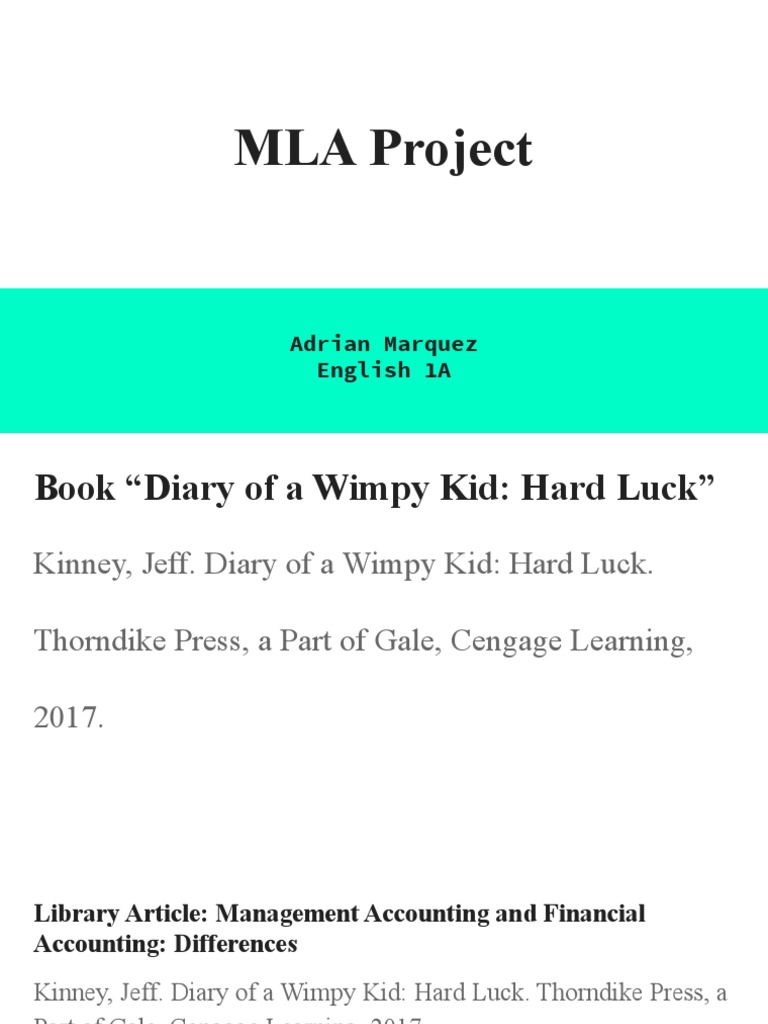 Mla Project | Download Free PDF | Accounting | Leisure