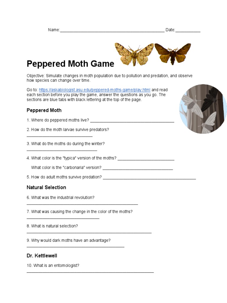 Peppered Moth Lab | PDF | Evolutionary Biology | Biology