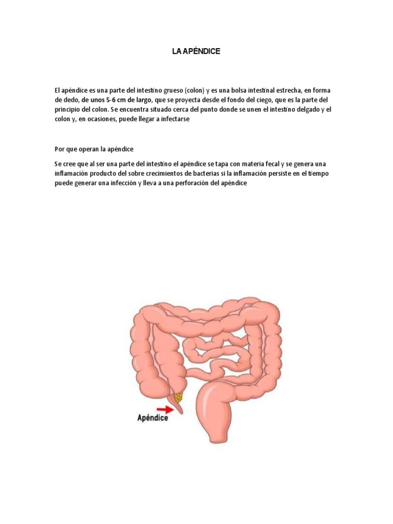Trabajo de La Apendice | PDF | Gastroenterología | Medicina