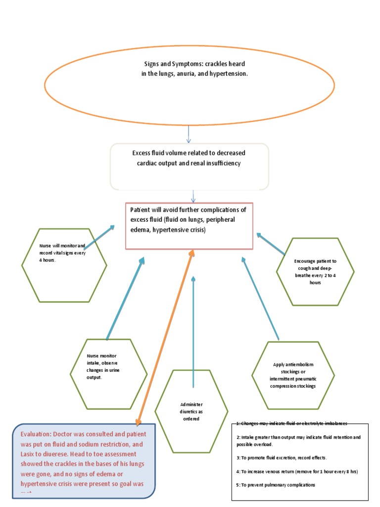 Care Plan Concept Map Fluid | PDF | Edema | Hypertension
