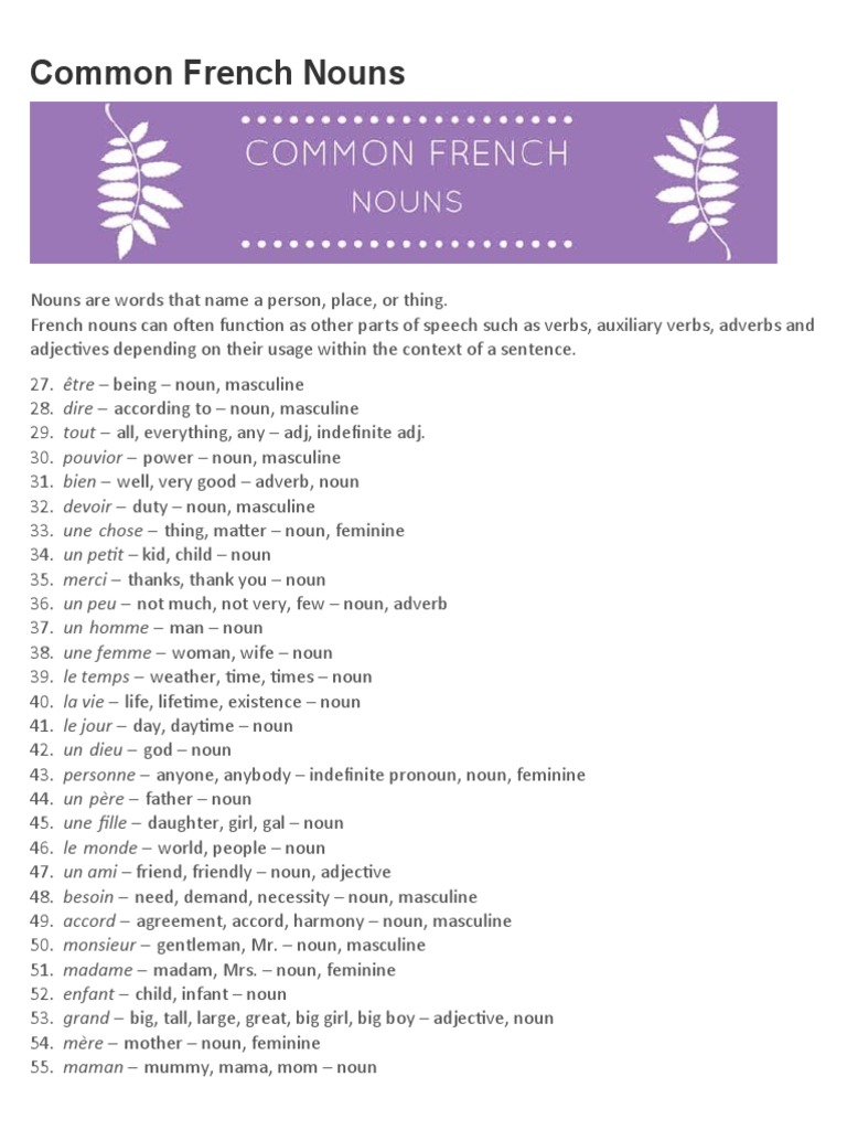 COMMON FRENCH NOUNS - Notes | PDF