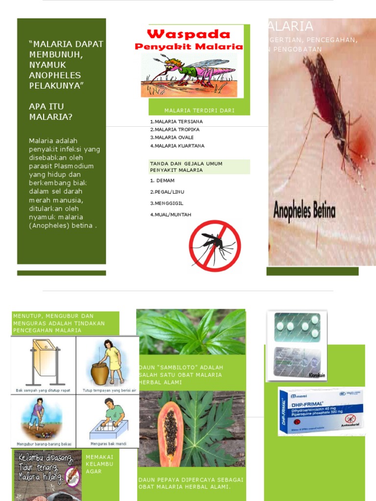 Leaflet Malaria | PDF