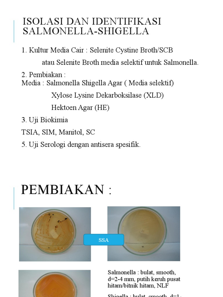 Isolasi Identifikasi Salmonella Shigella | PDF | Kajian Bahasa Asing ...