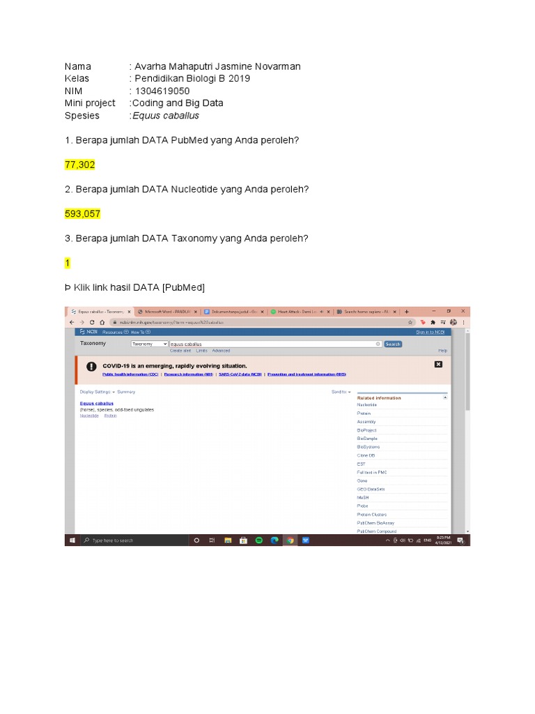 Avarha Mahaputri Jasmine Novarman - Equus Caballus - PBB 2019 - Coding and Big Data | PDF