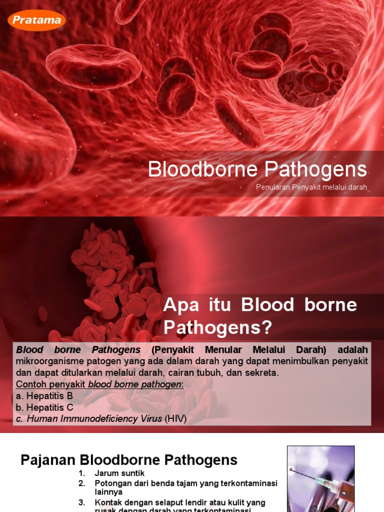 Bloodborne Pathogens Training - Rev | PDF