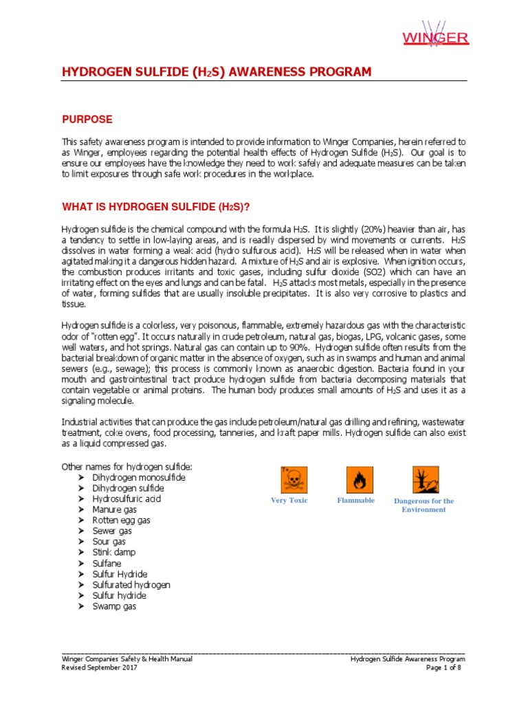 Safety Manual Hydrogen Sulfide Program | PDF | Chemistry | Chemicals