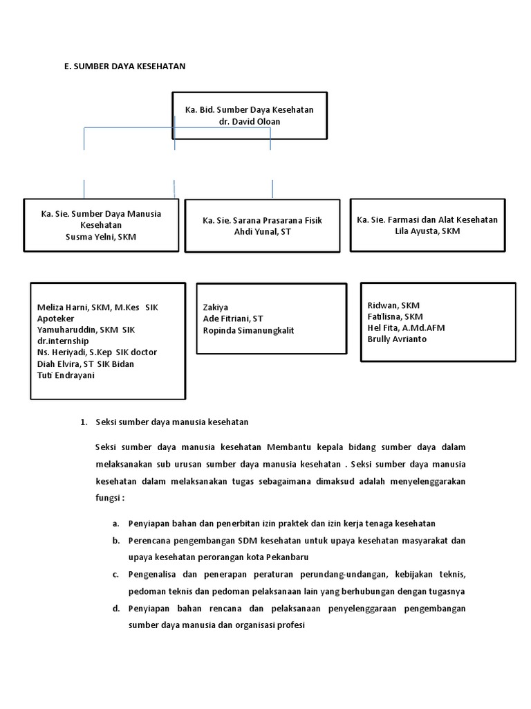E. Sumber Daya Kesehatan | PDF | Kesehatan Holistik
