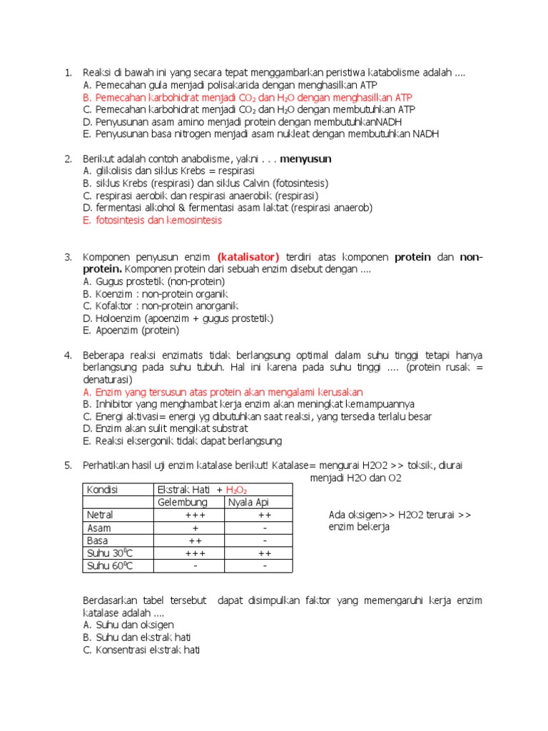 Latihan Soal Metabolisme | PDF