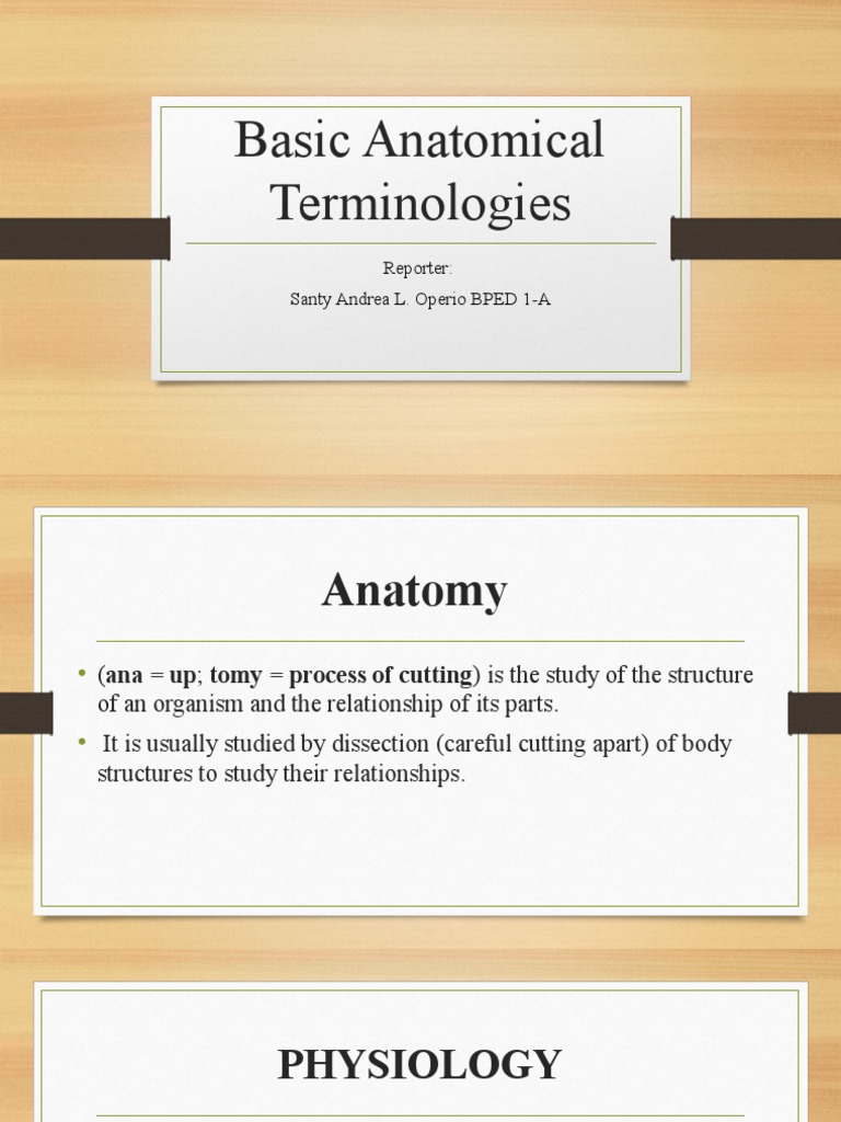 Basic Anatomical Terminologies (Final) | PDF | Vertebral Column | Anatomy