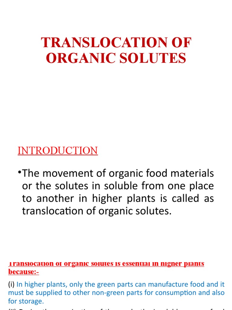 Translocation of Solutes | PDF | Plant Stem | Osmosis