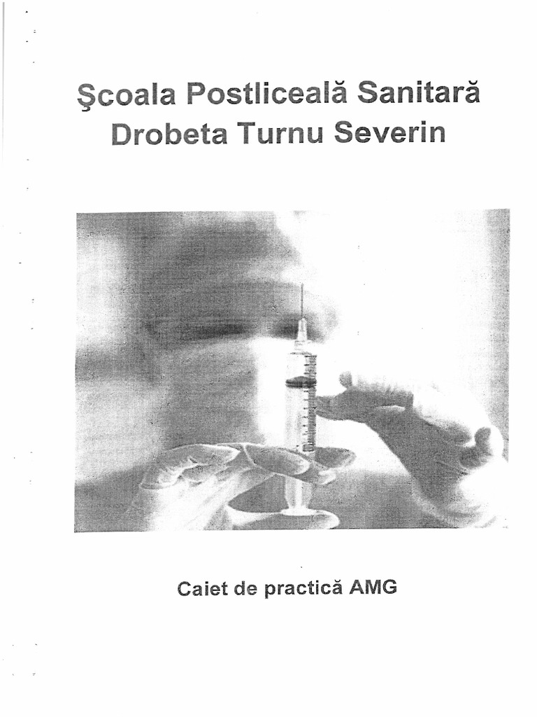 Caiet de Practica AMG | PDF