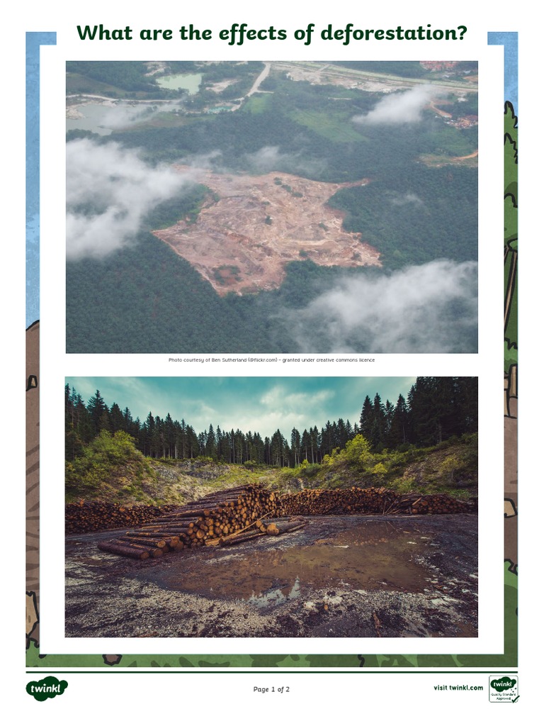 Cfe2 G 0061 Rainforest Deforestation Persuasive Writing Information ...