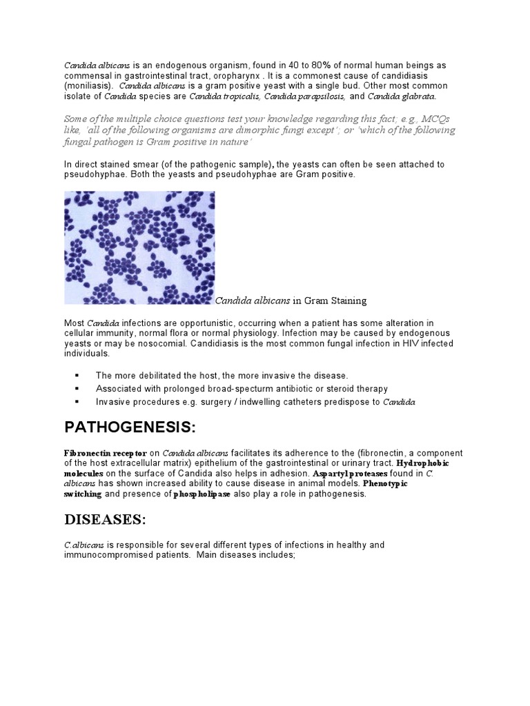 Pathogenesis:: Candida Albicans in Gram Staining | PDF | Candida ...