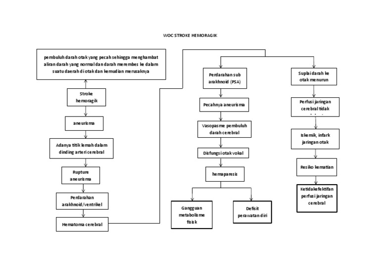 Woc Stroke Hemoragik Risa Nuraini | PDF