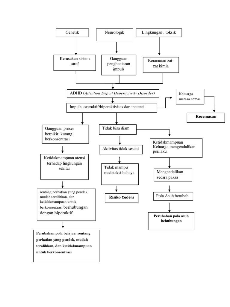 OK - Pathway ADHD | PDF