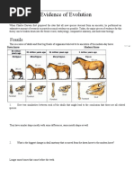 Moral Evolution | PDF | Morality | Evolution