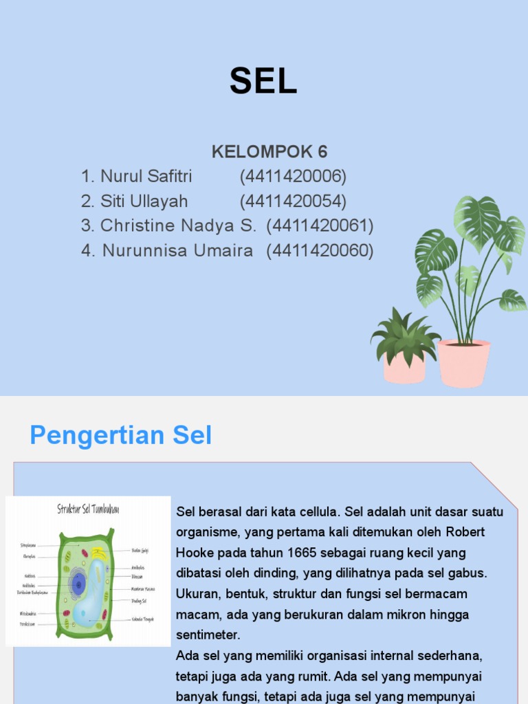 Sel Kelompok 6 | PDF