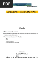Marcha Trendelenburg: Análisis y Alteraciones | PDF | Pelvis | Sistema ...