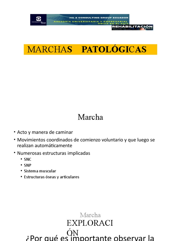 Tipos de Marchas Patológicas | PDF | Pie | Sistema musculoesquelético