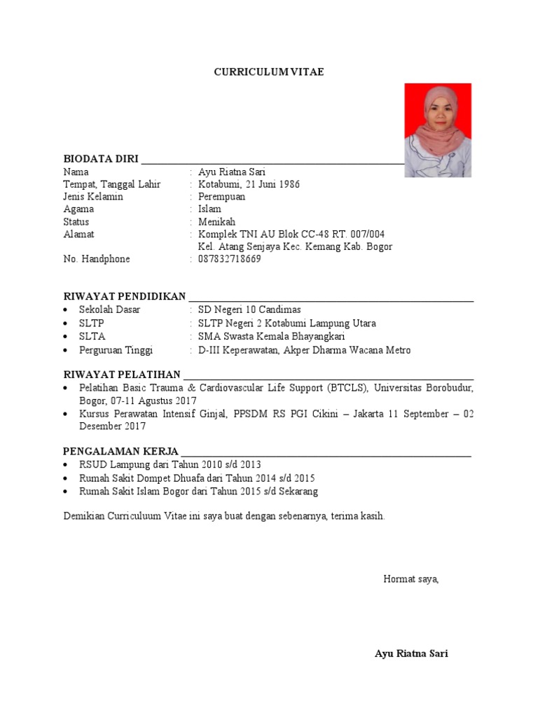 CV Ayu | PDF