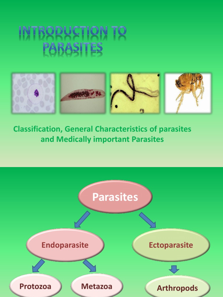 Classification, General Characteristics of Parasites and Medically ...