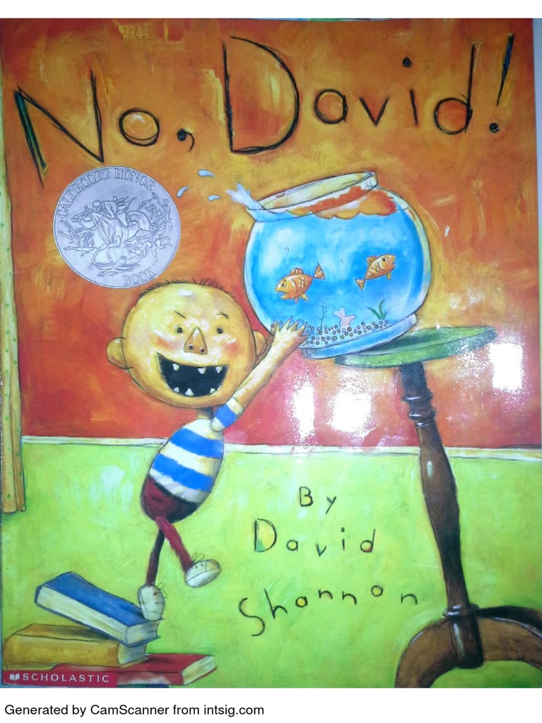 No, David - by David Shannon | PDF