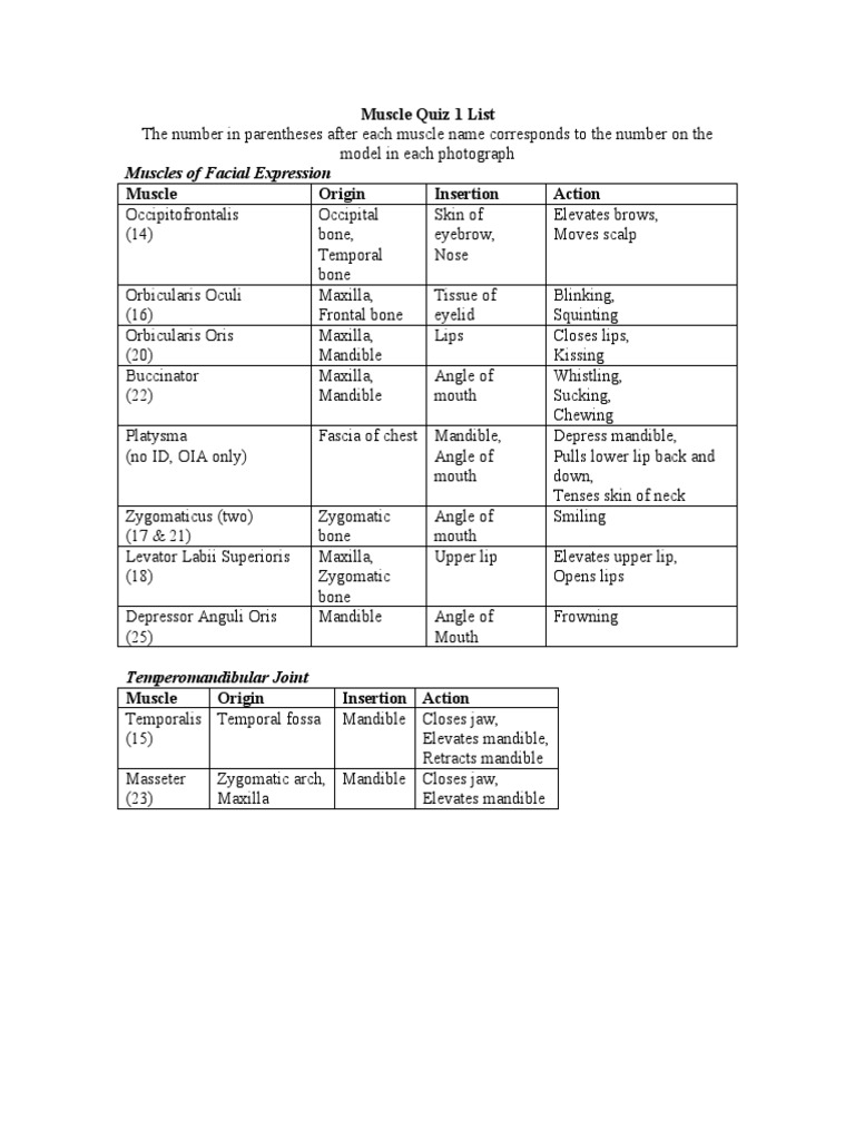 Muscles of Facial Expression: Muscle Quiz 1 List | PDF | Abdomen | Thorax