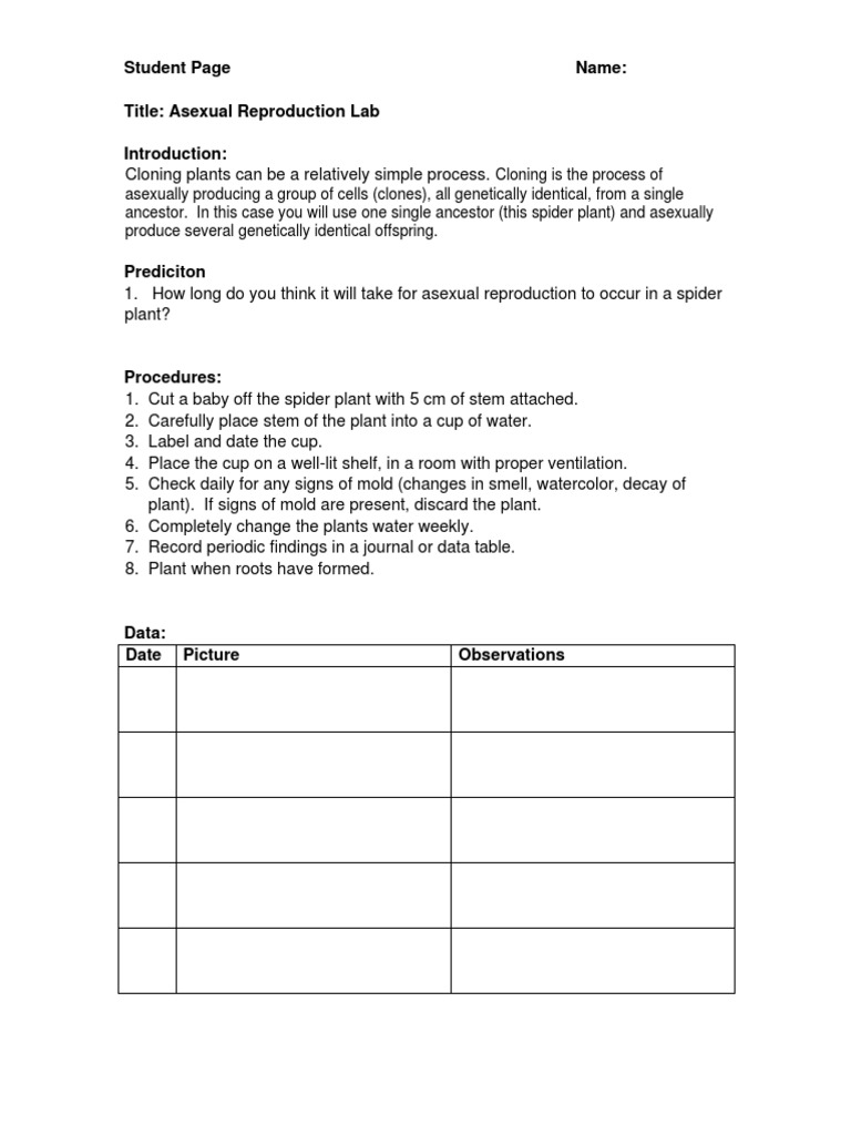 Asexual Lab-Spider Plant | PDF