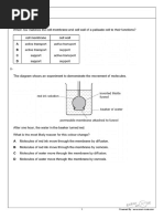 Cell Structure (Grade 6) - Free Printable Tests and Worksheets PDF ...